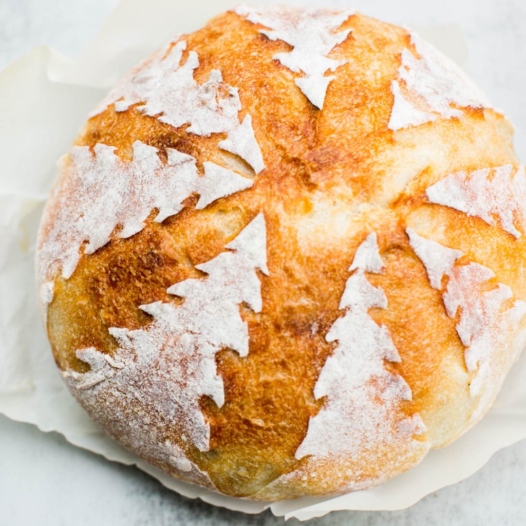 How To Start A Sourdough Starter From Scratch