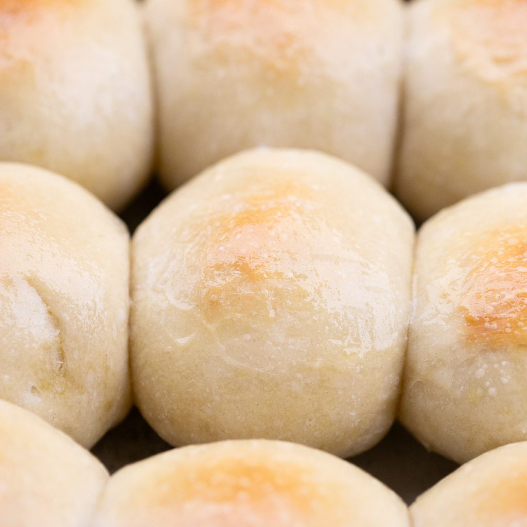 Soft Sourdough Dinner Rolls (Super Fluffy)