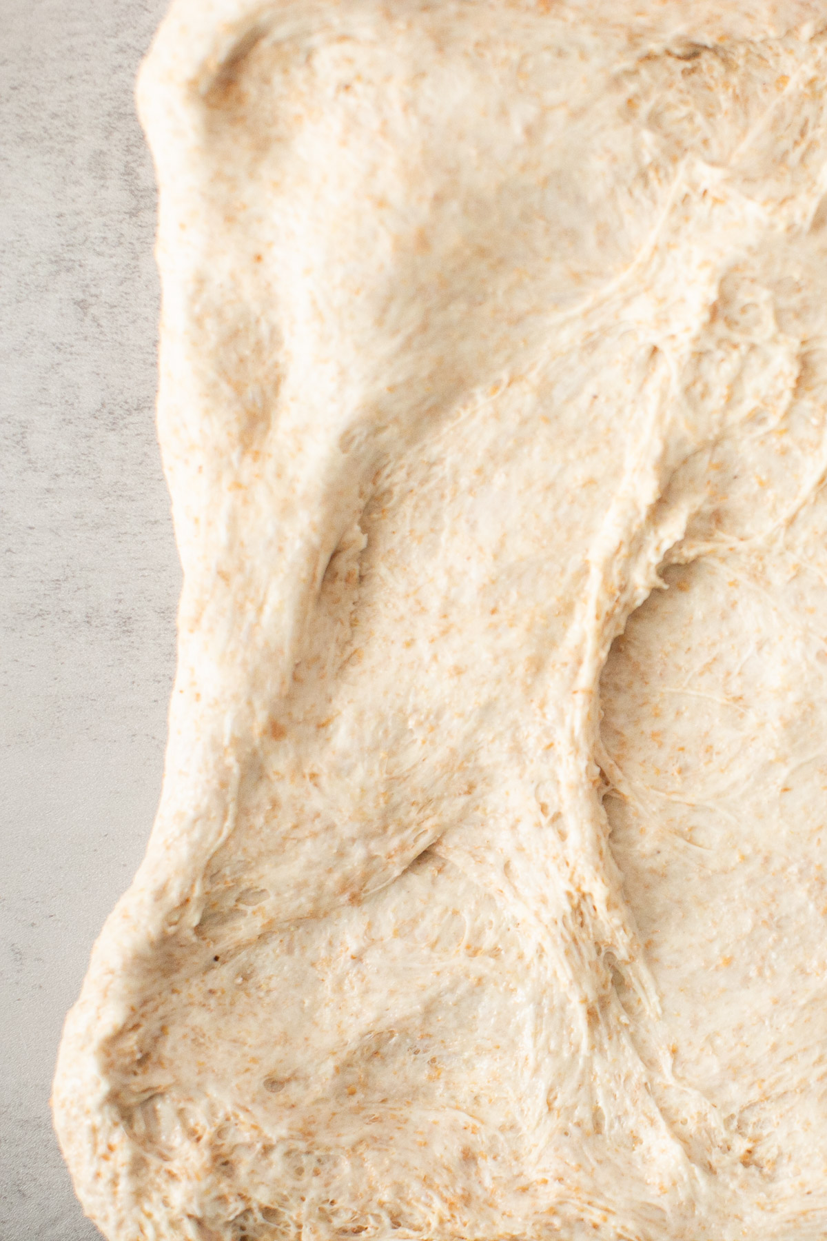 Easy Whole Wheat Sourdough Sandwich Bread With Honey