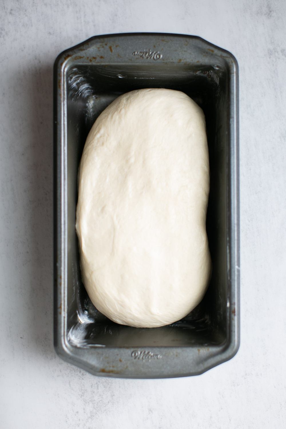 Sourdough Discard Sandwich Bread