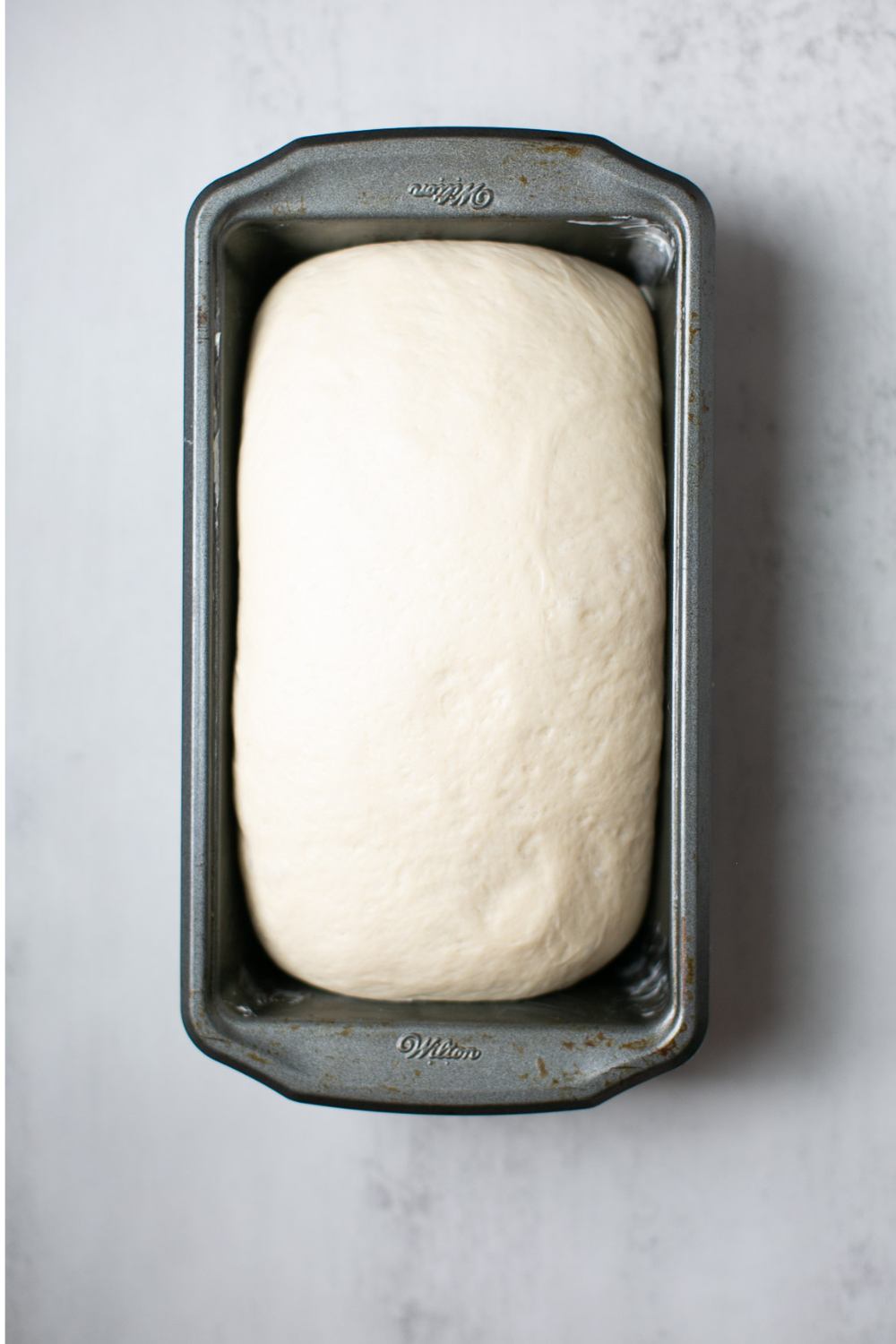 Sourdough Discard Sandwich Bread
