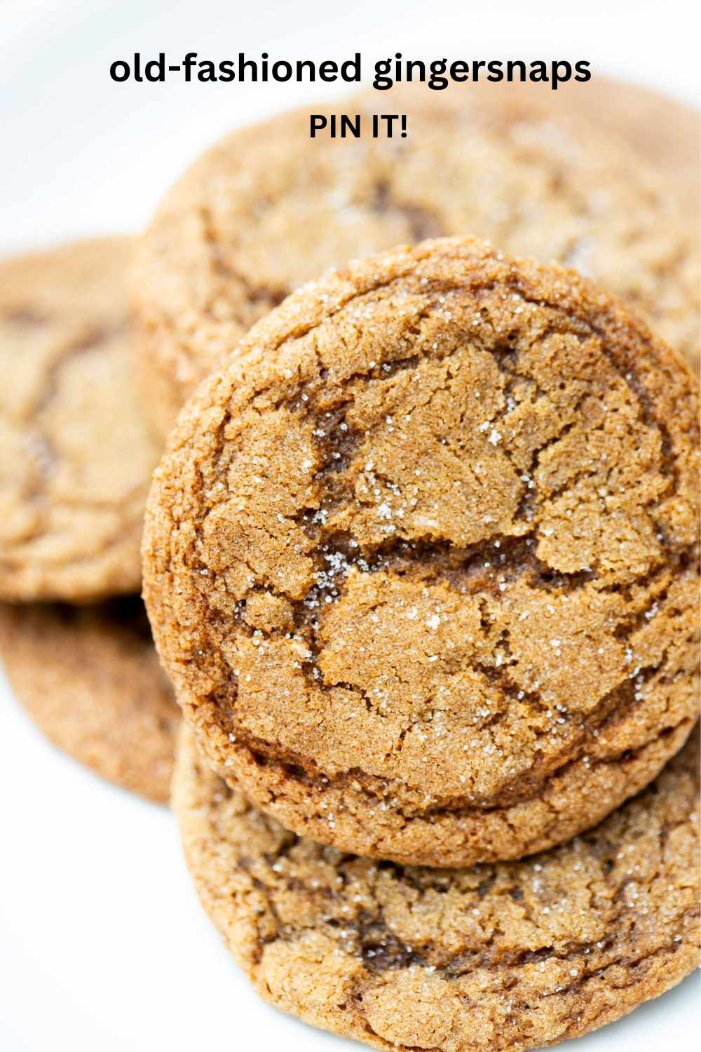 Grandma's Old Fashioned Gingersnap Cookies